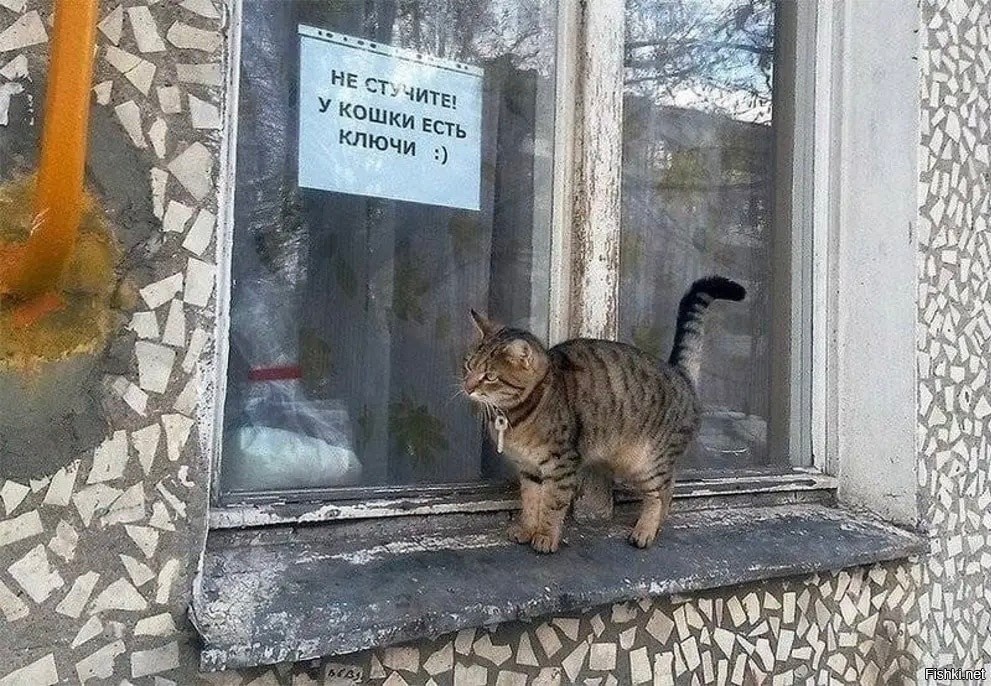 Солянка – новые фотографии, комиксы на Fishki.net - стр.26