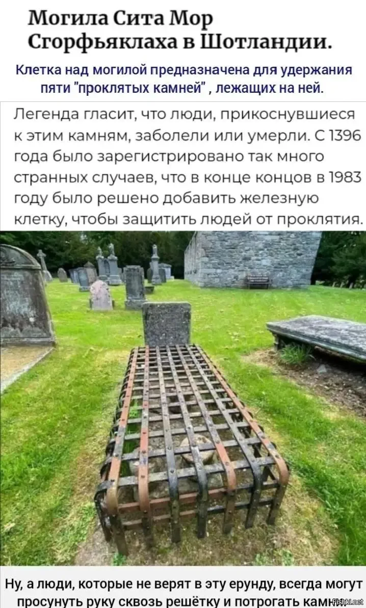 Солянка от EricDimon за 05 марта 2023 17:43 на Fishki.net