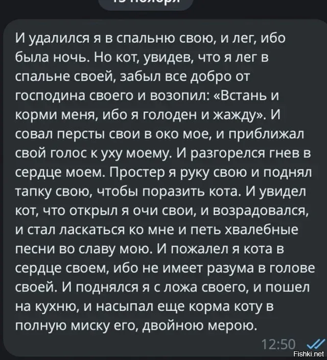 Солянка от феникс за 22 ноября 2023 03:58 на Fishki.net