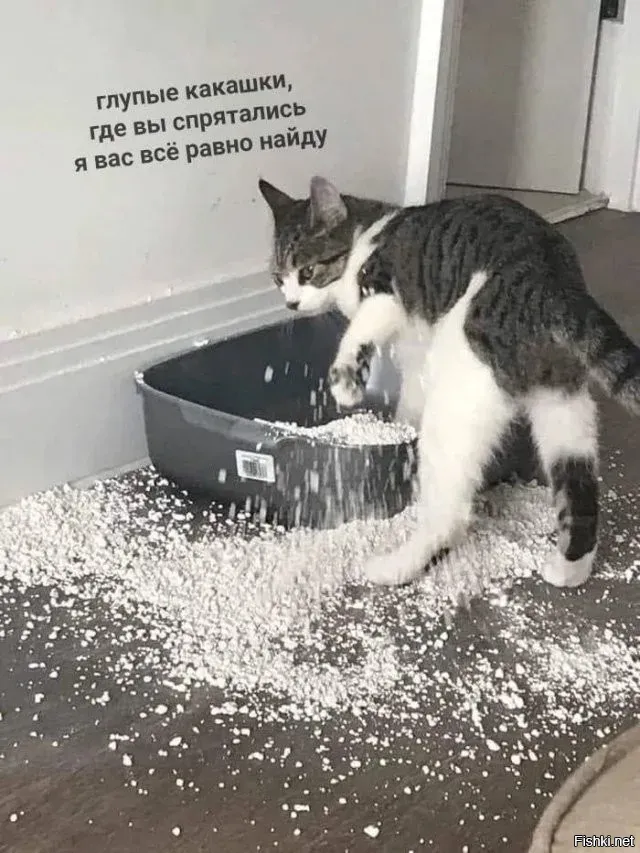 Солянка от Бред какой то за 21 января 2024 06:18 на Fishki.net