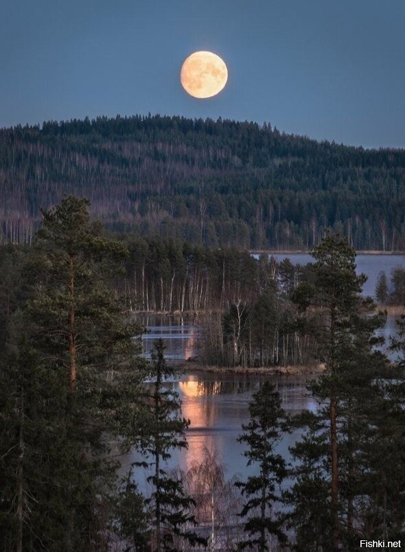 Солянка – новые фотографии, комиксы на Fishki.net - стр.3