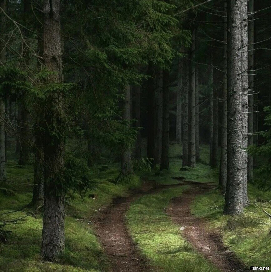 Солянка – новые фотографии, комиксы на Fishki.net - стр.16