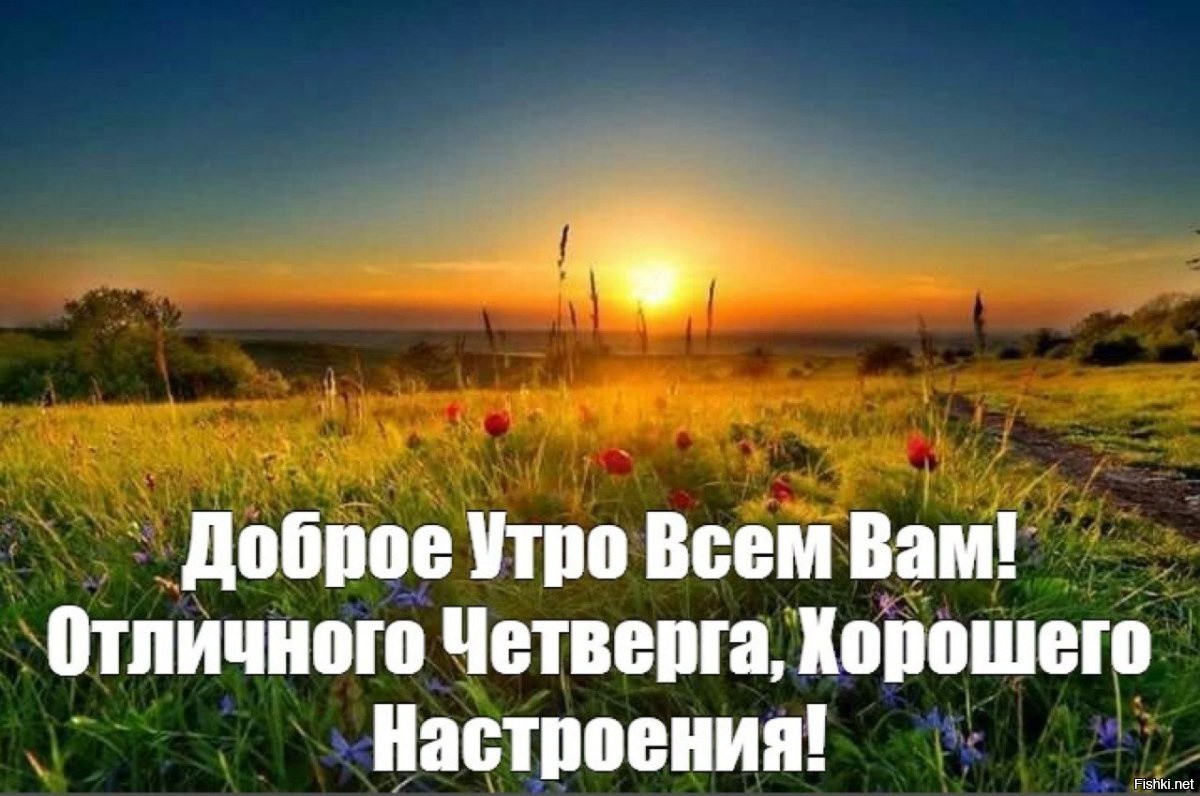 Солянка – новые фотографии, комиксы на Fishki.net - стр.13