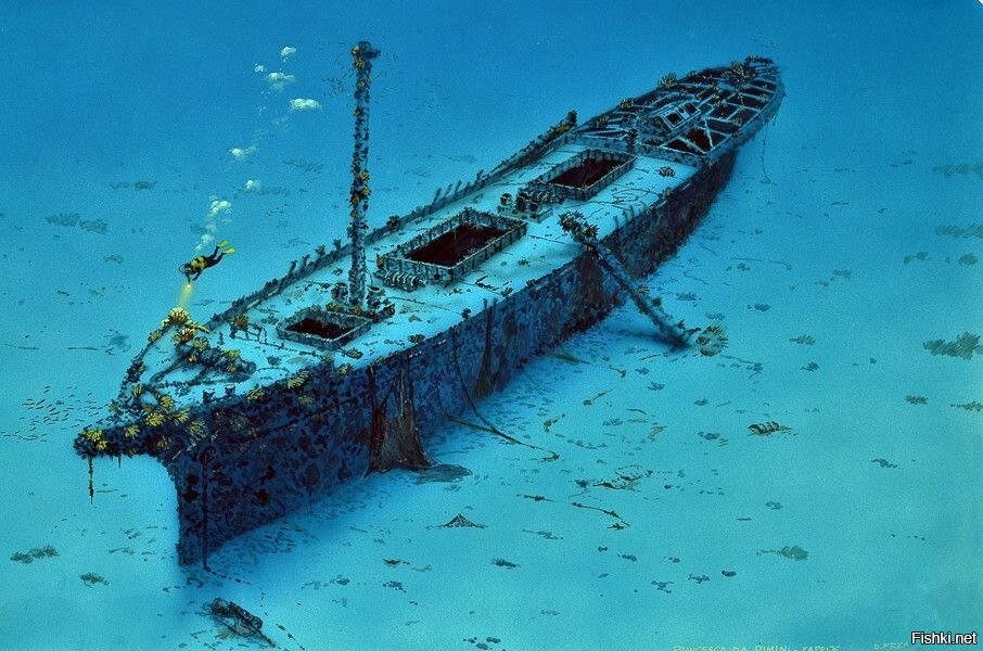 Солянка – новые фотографии, комиксы на Fishki.net - стр.8