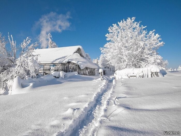 Солянка – новые фотографии, комиксы на Fishki.net - стр.19