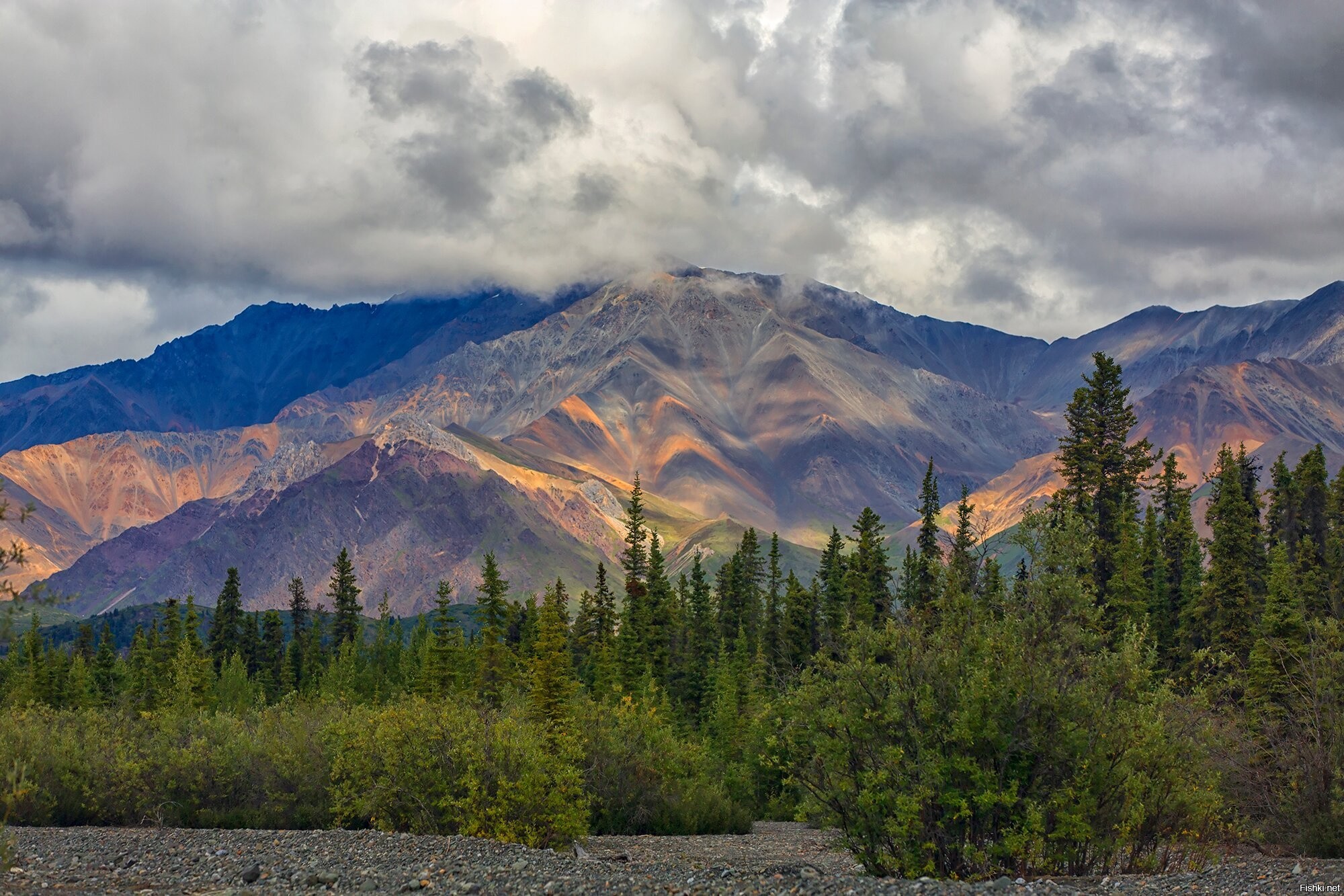 Солянка – новые фотографии, комиксы на Fishki.net - стр.2