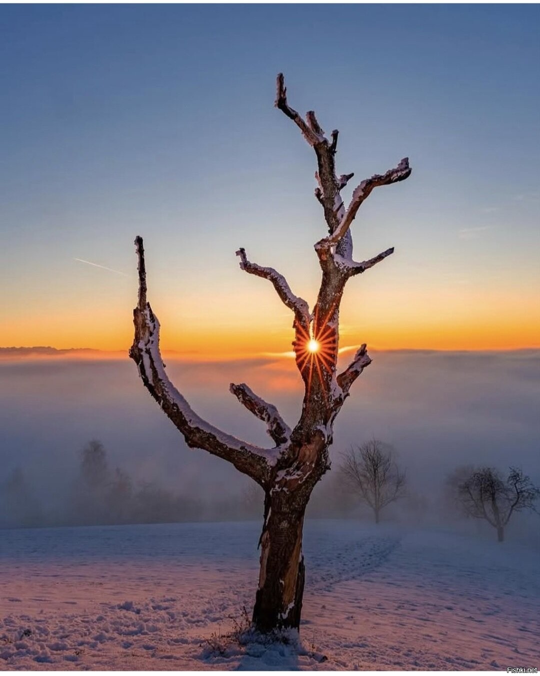 Солянка – новые фотографии, комиксы на Fishki.net - стр.2