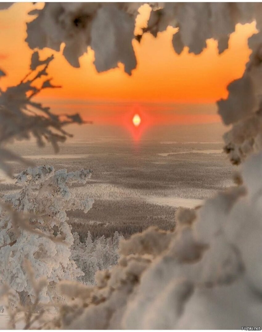 Солянка – новые фотографии, комиксы на Fishki.net