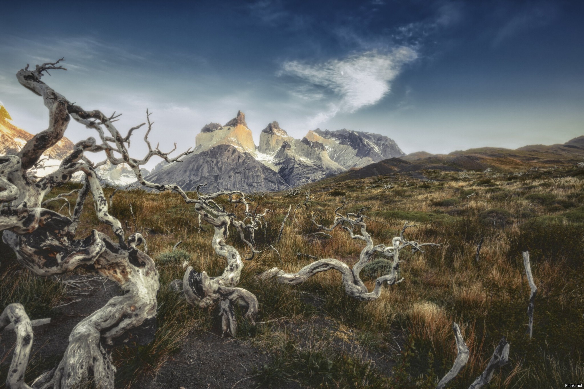 Патагония от Алекс Б за 16 мая 2025 на Fishki.net