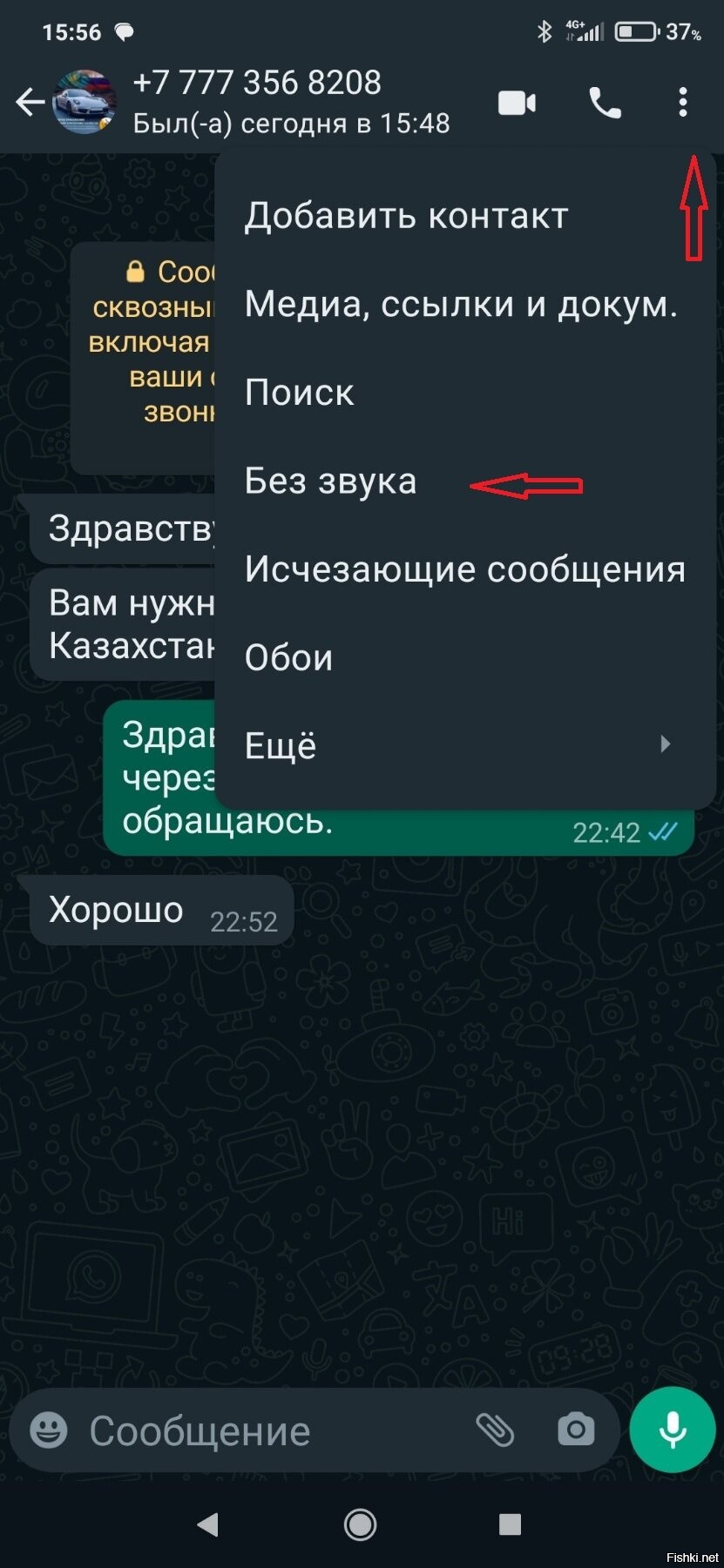 Солянка – новые фотографии, комиксы на Fishki.net - стр.11