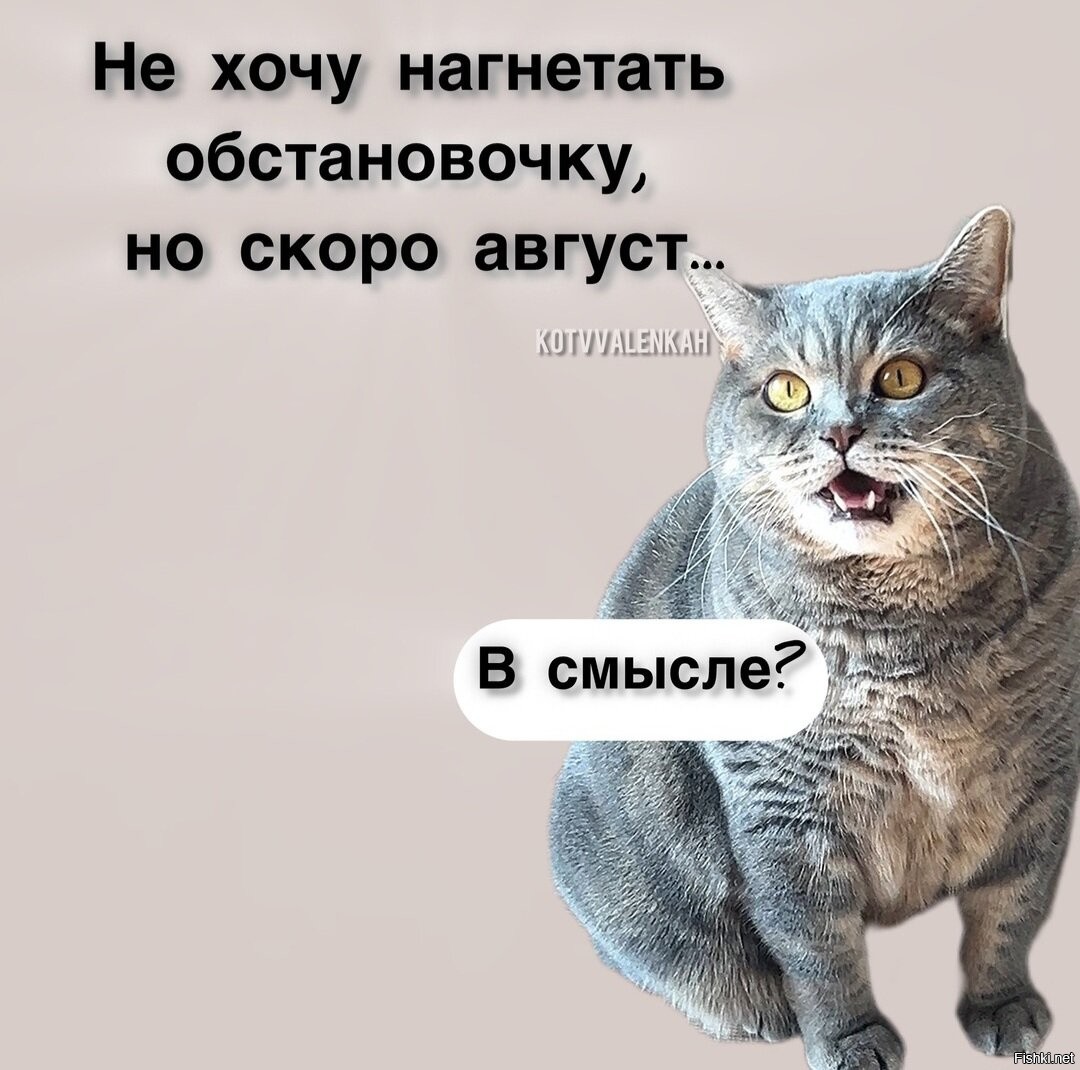 Солянка – новые фотографии, комиксы на Fishki.net - стр.31