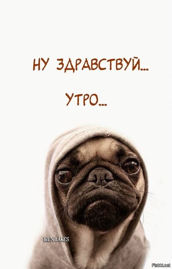 Солянка – новые фотографии, комиксы на Fishki.net - стр.31